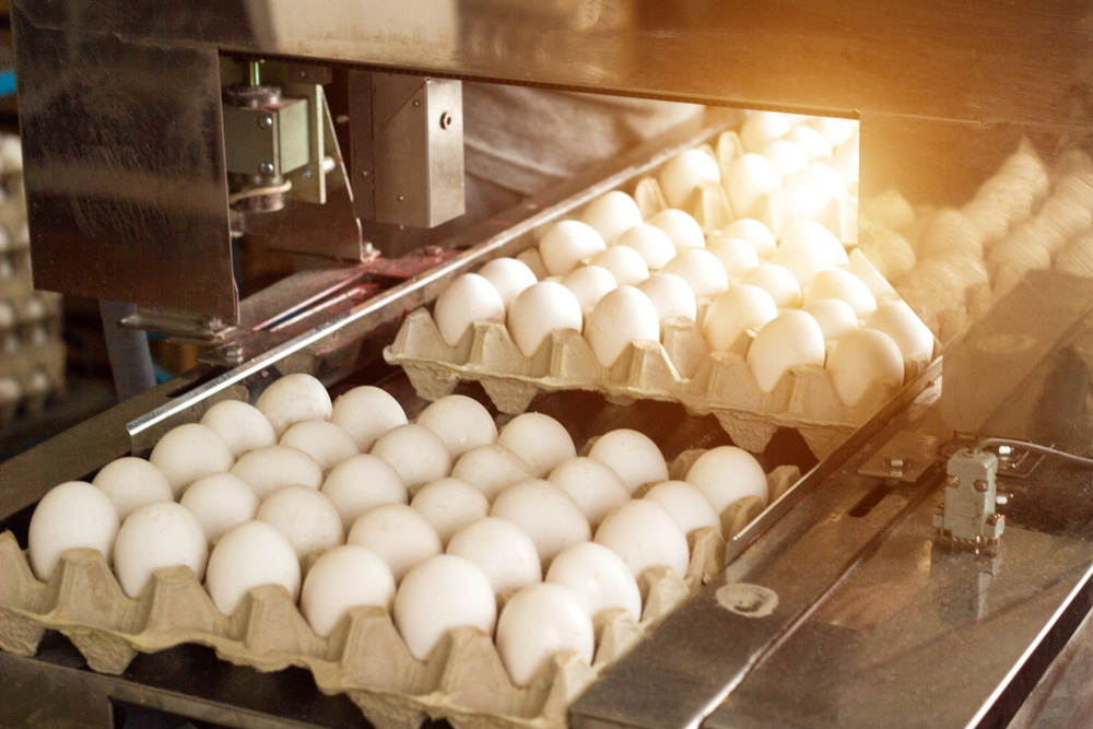 Our Products - Ruhunu Farms